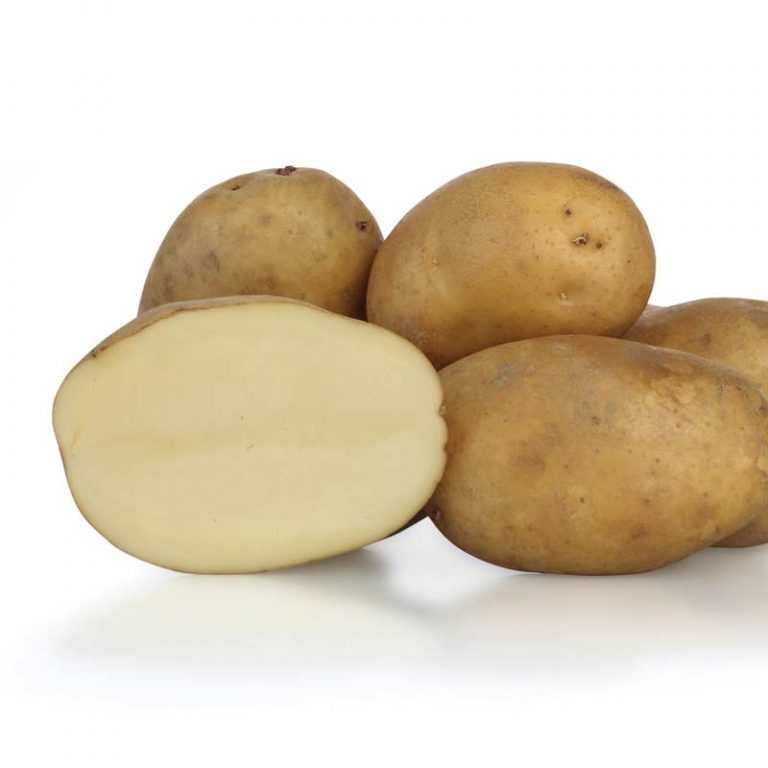 Sorta MARABEL semenski krompir - Agrosaat