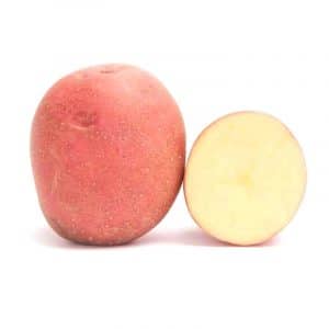 Slovenske in ostale sorte krompirja, semenski krompir - Agrosaat