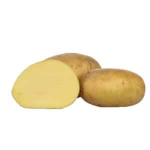 Slovenske in ostale sorte krompirja, semenski krompir - Agrosaat